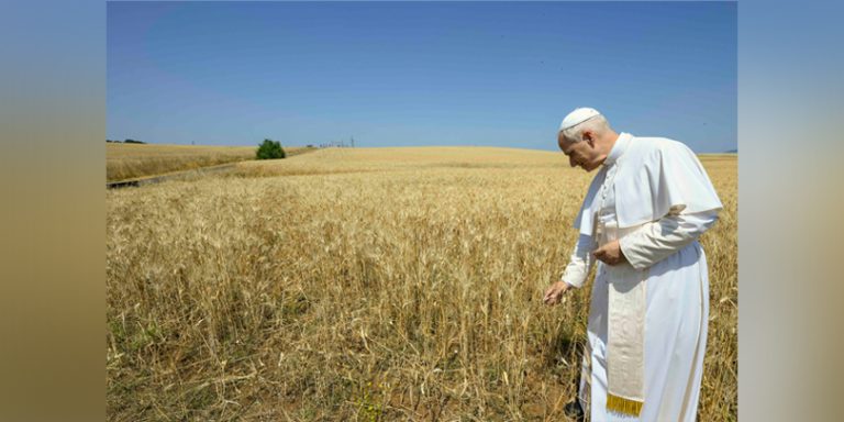 Pope visits site of possible Vatican solar farm - CathNews