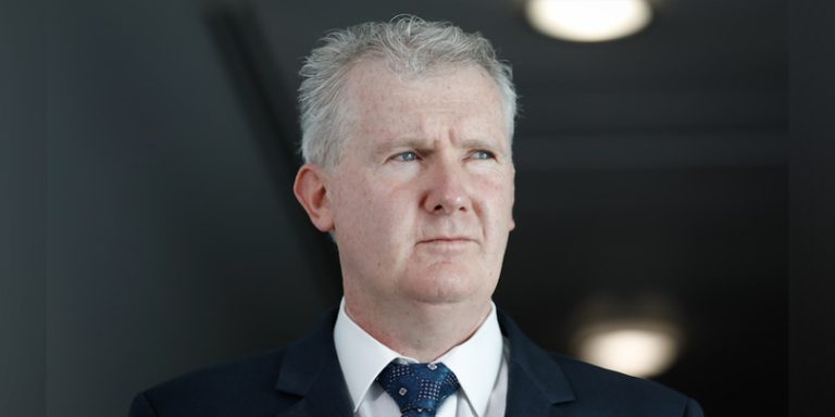 Burke says gun controls will take months to introduce - CathNews