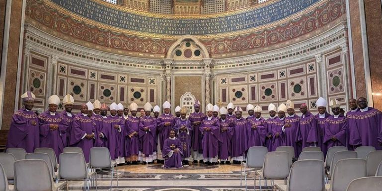 Cardinal tells Pope of Nigerian Church’s faith - CathNews