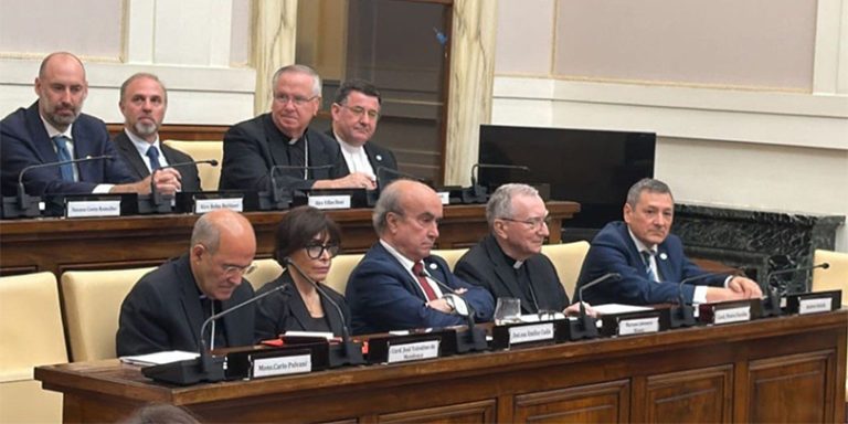 Youth mental health crisis needs structural responses: Cardinal - CathNews